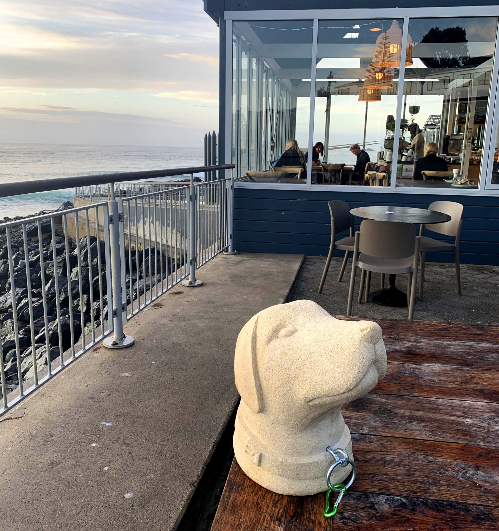Dunedin Dog Lovers' - Introducing 'Long Dog' - Dog Friendly New Zealand