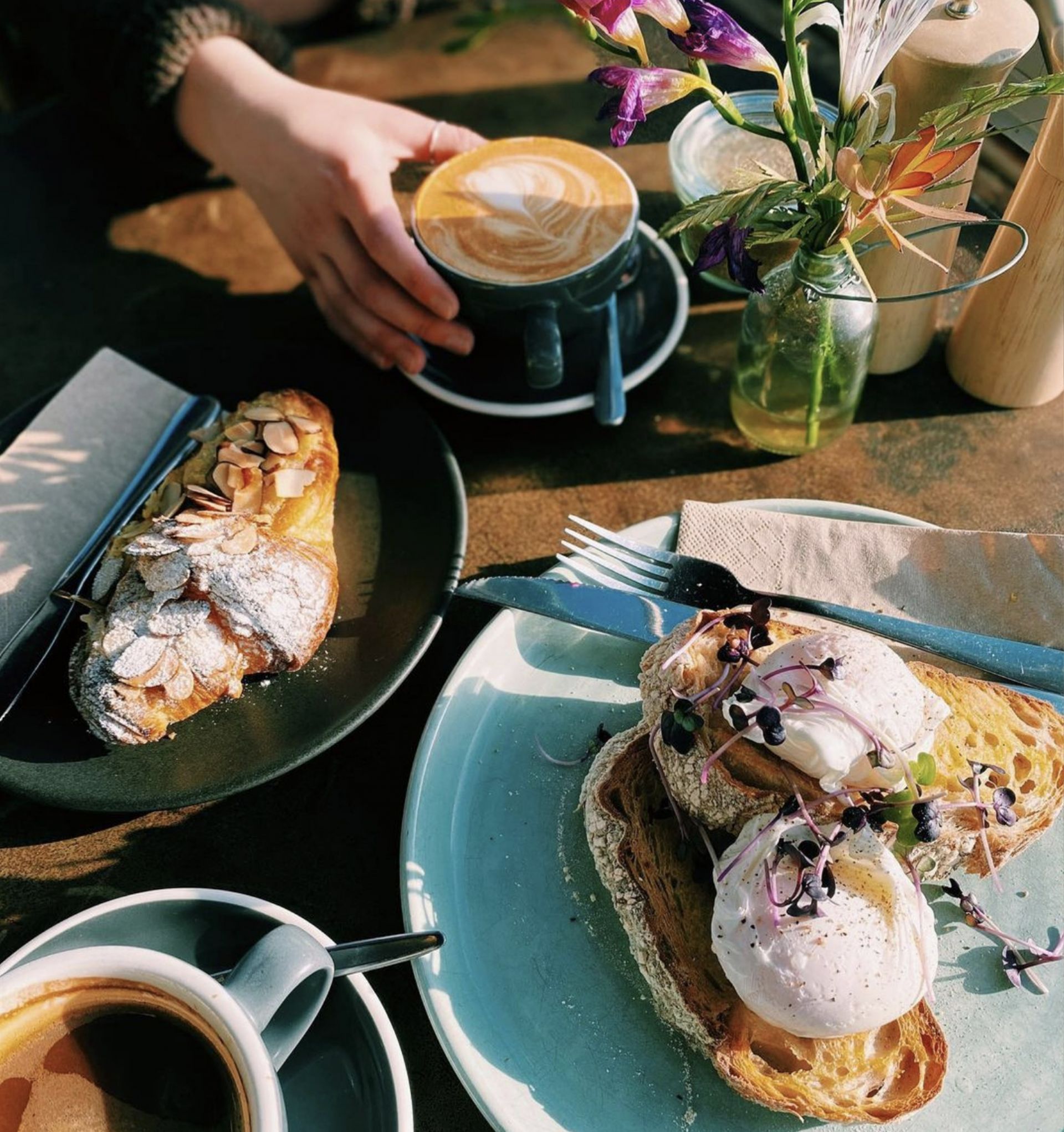 Dunedin Dog Lovers' - Introducing 'Long Dog' - Dog Friendly New Zealand